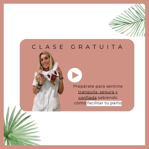 ORG Linktree Registro Clase Parto B Diana Martinez Matrona - Diana Martinez - Matrona